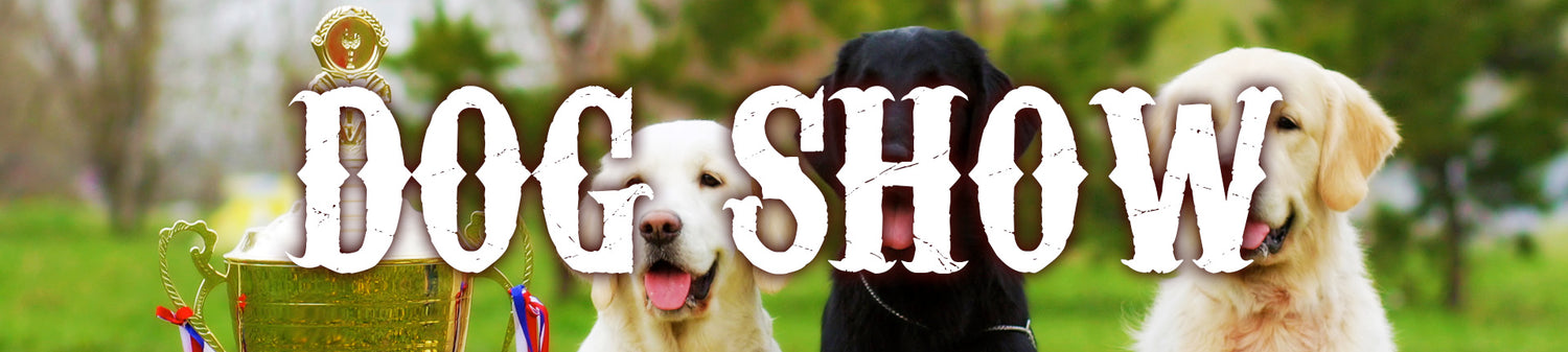 Dog-Events – Kanine Karnival